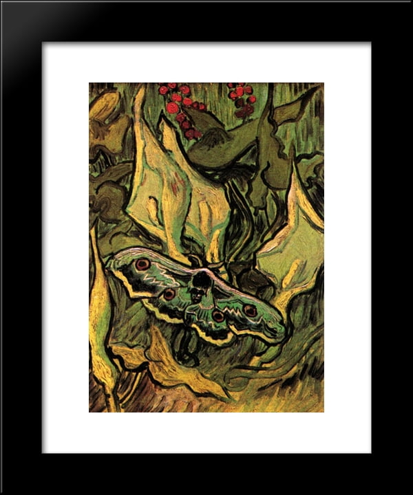 Great Peacock Moth 20x24 Framed Art Print by Vincent van Gogh - Walmart.com