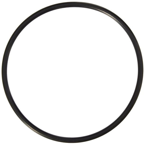 Pentair PacFab 350037 4" Diffuser O-Ring for EQ Series Commercial Plastic Pump - Walmart.com ...