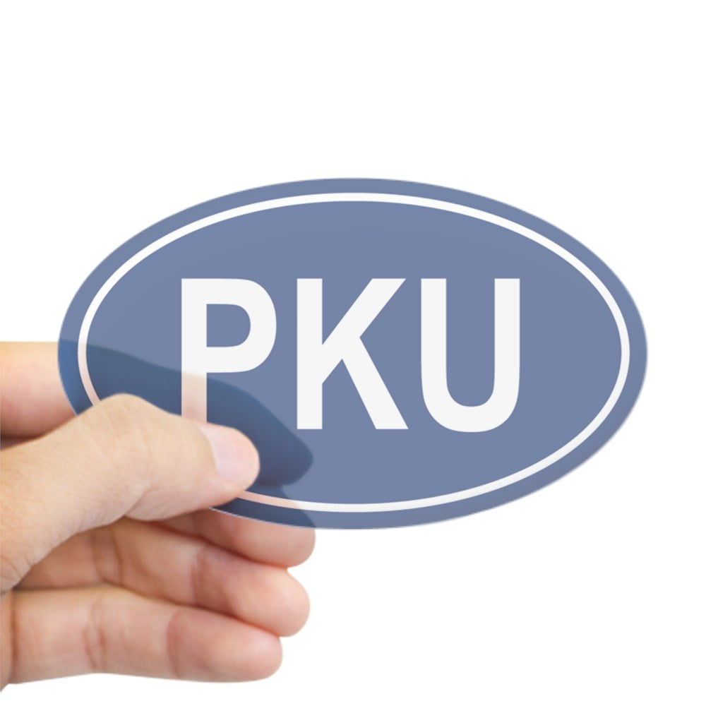 Bumper Stickers Paper & Party Supplies Stickers, Labels & Tags Someone ...