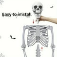 5.4 Ft/165 Cm Halloween Skeleton Full Body Life Size Human Bone Movable ...