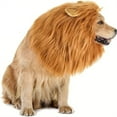 Pet Wigs Instantly Transform Your Dog Into Hilarious Headgear Funny Hat ...