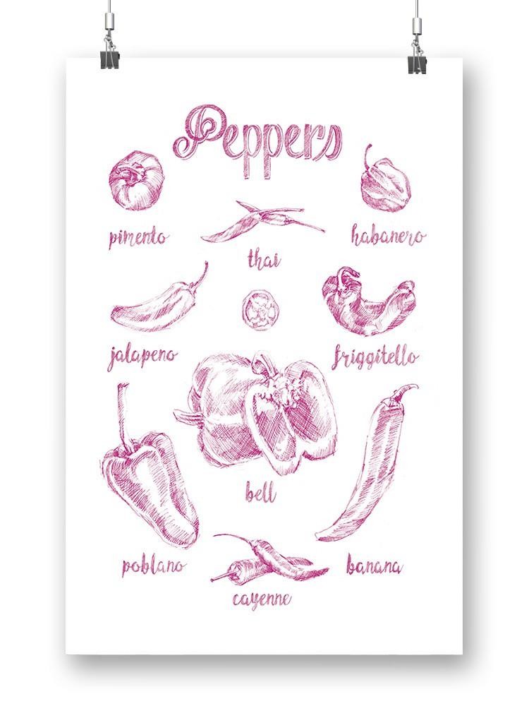Pepper Varieties Poster - Ethan Harper Designs, - Walmart.com
