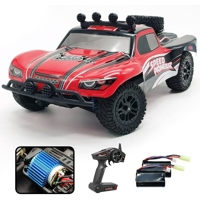 RACENT RC Car 1:18 Scale High Speed Remote Control Car 4x4 25MPH RC ...