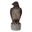 Falcon Decoy Bird Repellent Predator Flashy Reflective Eyes Owl Decoy ...