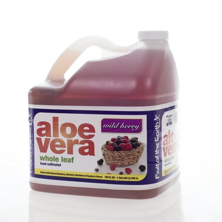 Fruit Of The Earth Wild Berry Aloe Vera Juice - Walmart.com