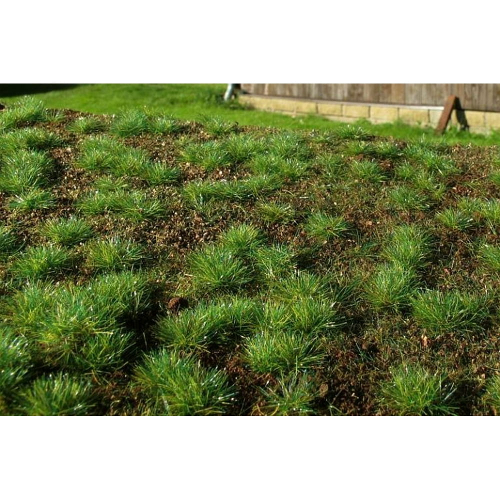 Reality In Scale 1:35 54mm Forest Floor Basic Grass Mat - Diorama Acc # ...