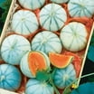 Exotic Purple Coban Tomatillo Seeds| Great for Salsa Flavor | 250 ...