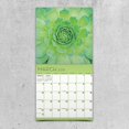 2019 Succulents 12" x 12" January 2019-December 2019 Wall Calendar ...