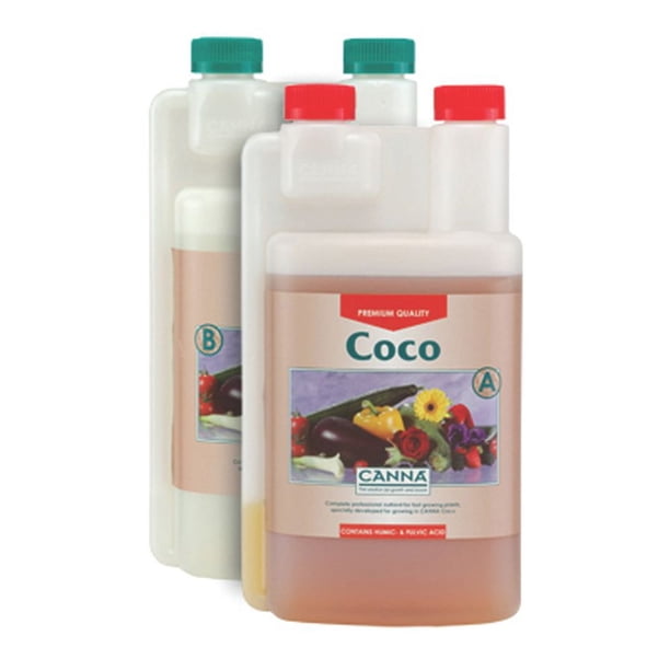 Coco Plants