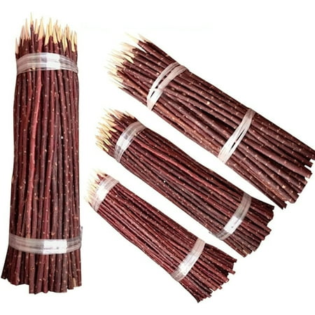 Red Willow Stick Barbecue Skewer Unique Barbecue Stick red Willow Stick ...