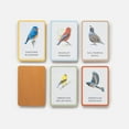 Sibley Birds: Sibley Backyard Birding Bingo : A Game for Bird Lovers ...
