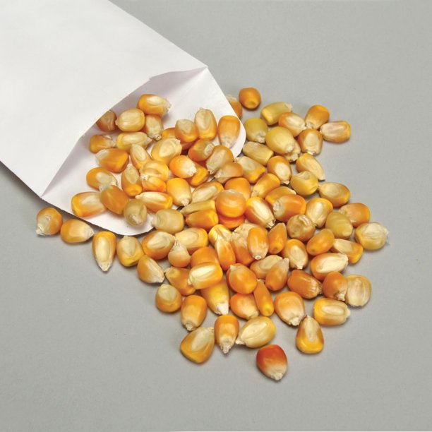 Genetic Corn Seed, Dihybrid, Tall Green:Tall Albino:Dwarf Green:Dwarf ...