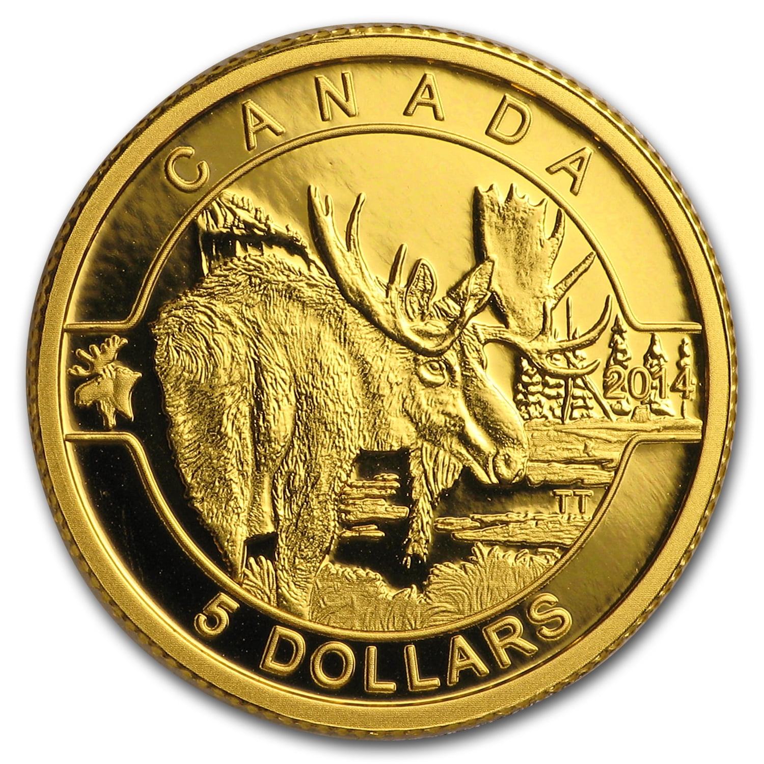 Kanada 1/25 Oz Gold CANADA 50 Cents 2004 Moose ELIZABETH II, 51% OFF