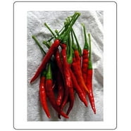 Red Hot Chili Pepper - 20 Seeds - Walmart.com