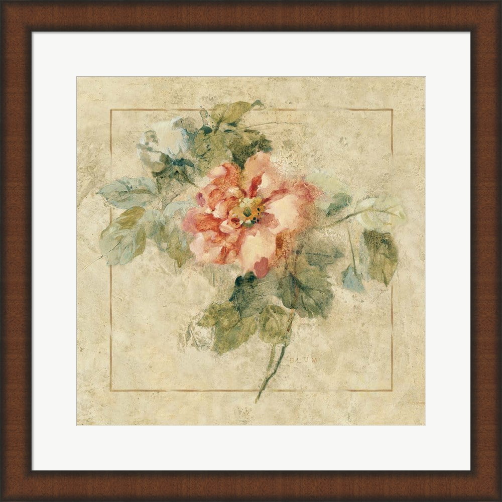 Provence Rose II by Cheri Blum, Framed Wall Art, 19.75W x 19.75H ...