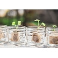 Midas Hydroponic Rooting Promoter Cubes - Plant Cloning Kit - 30 1x1 ...