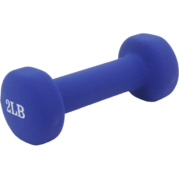 2lbs Weights