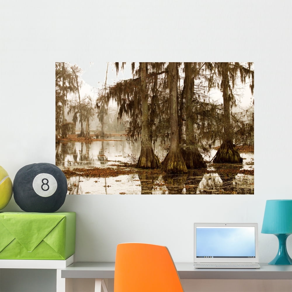 Misty Morning Swamp Wall Mural by Wallmonkeys Peel and Stick Graphic ...