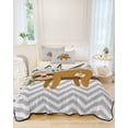 Cartoon Animals 3 Pieces Quilt Set, 1 Quilt with 2 Shams, Brown ...