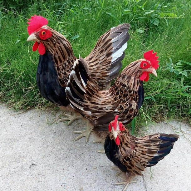 destyer Lifelike Hen Model Realistic Chicken Statue Realistic Animal ...