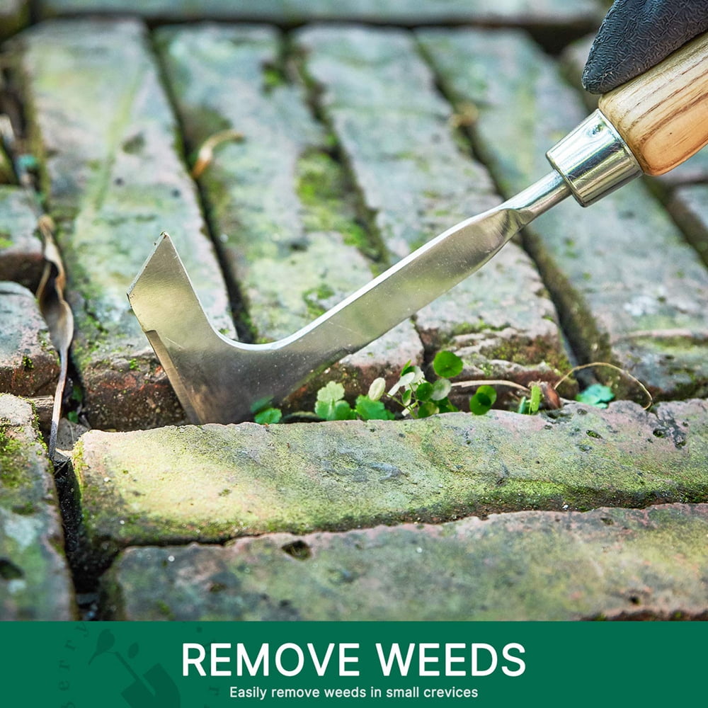 Buy Crack Weeder, Crevice Weeding Tool, 9 Stainless Steel Manual Weeder ...