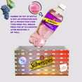 Schweppes Dry Grape Ginger Ale (12, 20oz bottles) - Black Cherry ...