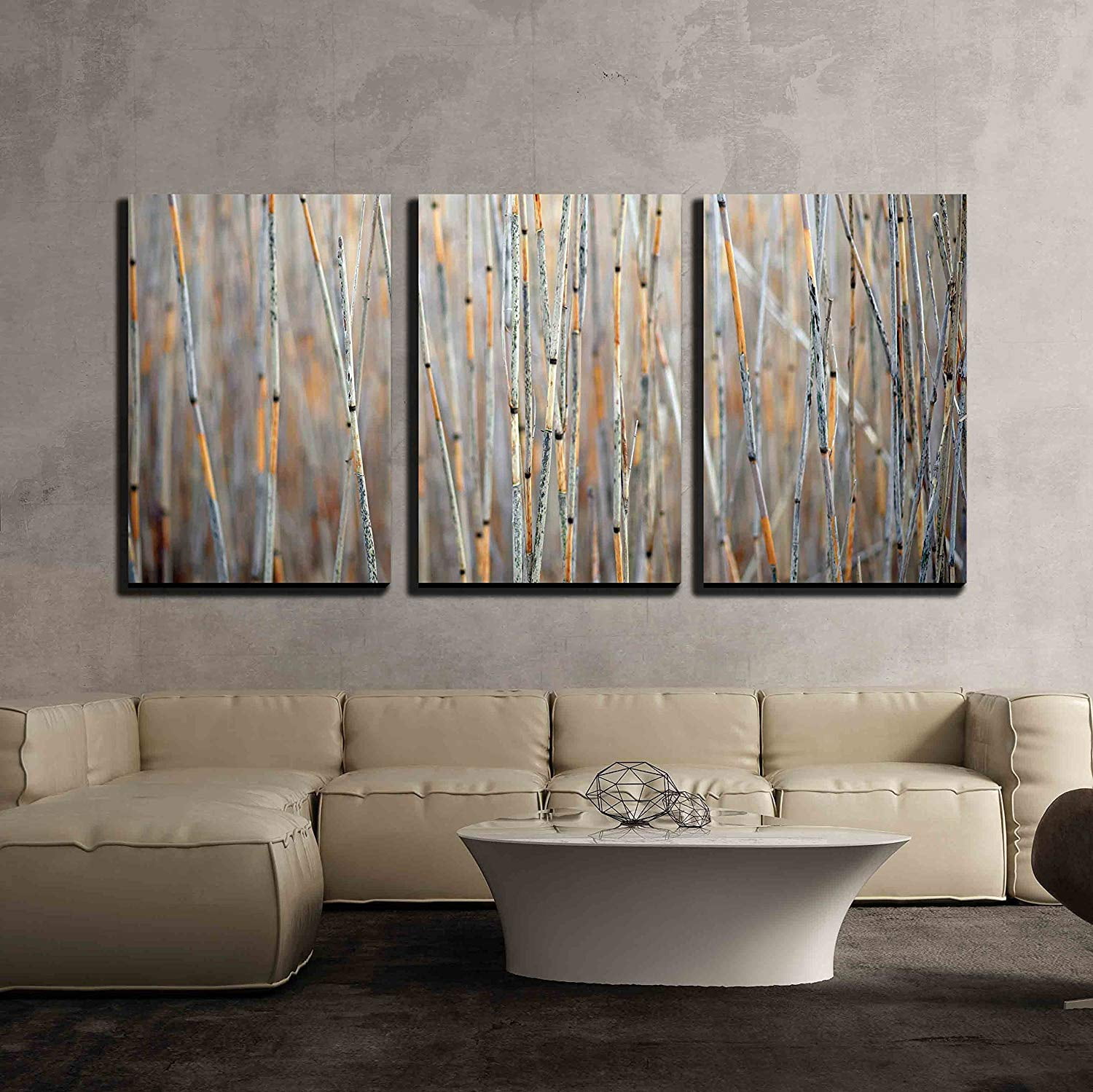 Wall26 3 Piece Canvas Wall Art - Background of Stems of Dry Reeds ...