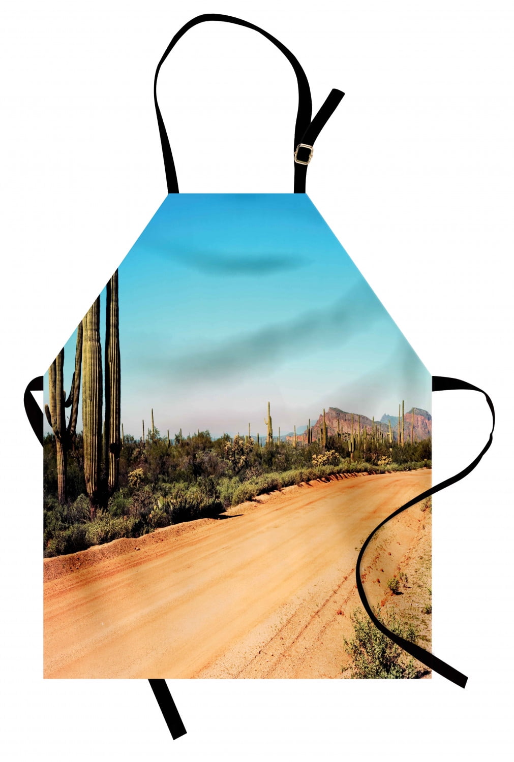 Saguaro Apron Earth Path with Giant Cactus Plants to the South American ...