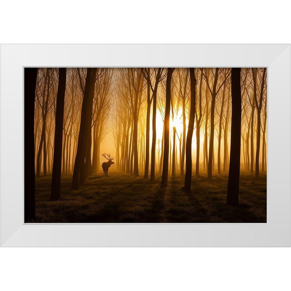 Norim, Nafets 32x22 White Modern Wood Framed Museum Art Print Titled ...