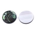 10pc Natural Abalone Shell/Paua Shell Cabochons with Freshwater Shell ...