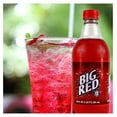 Big Red Soda 20 oz 24 Pack Bundle By Jsmark (Big Red) - Walmart.com