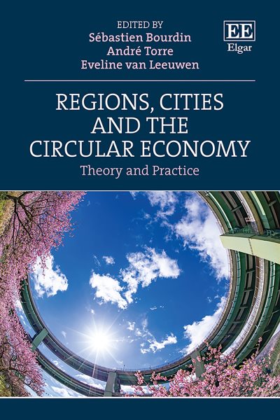 Pre-Owned Regions, Cities and the Circular Economy Sébastien Bourdin (Hardcover) - Walmart.com