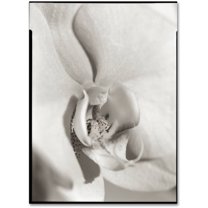 Trademark Fine Art 'A Rider' Canvas Art by Karl Bryullov - Walmart.com