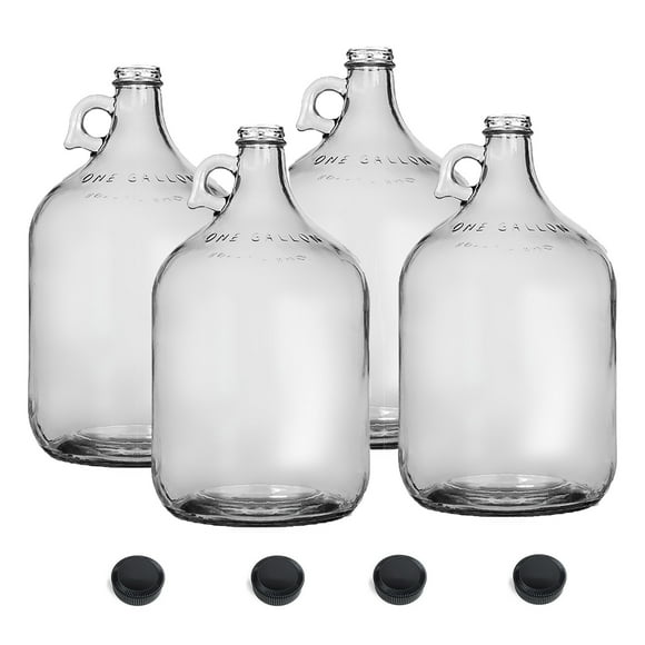 One Gallon Glass Jug