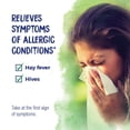 Boiron, Homeopathic Medicine for Allergy Relief, 80 Pellets - Walmart.com
