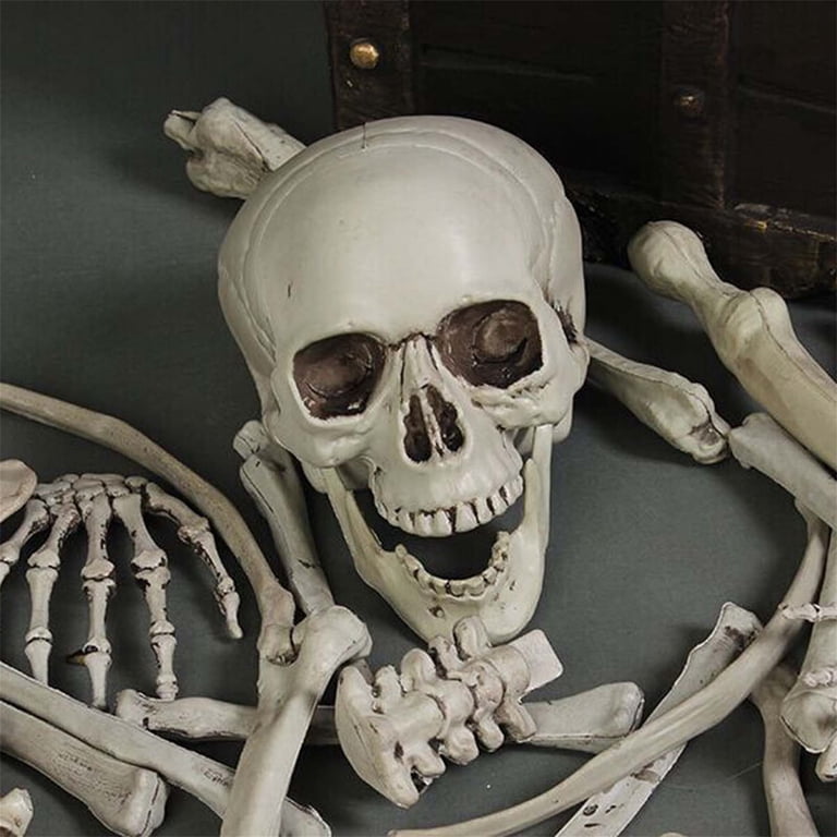 Dinosaur Bones Zatoumnr Halloween Skeletons Plastic Realistic Fake ...