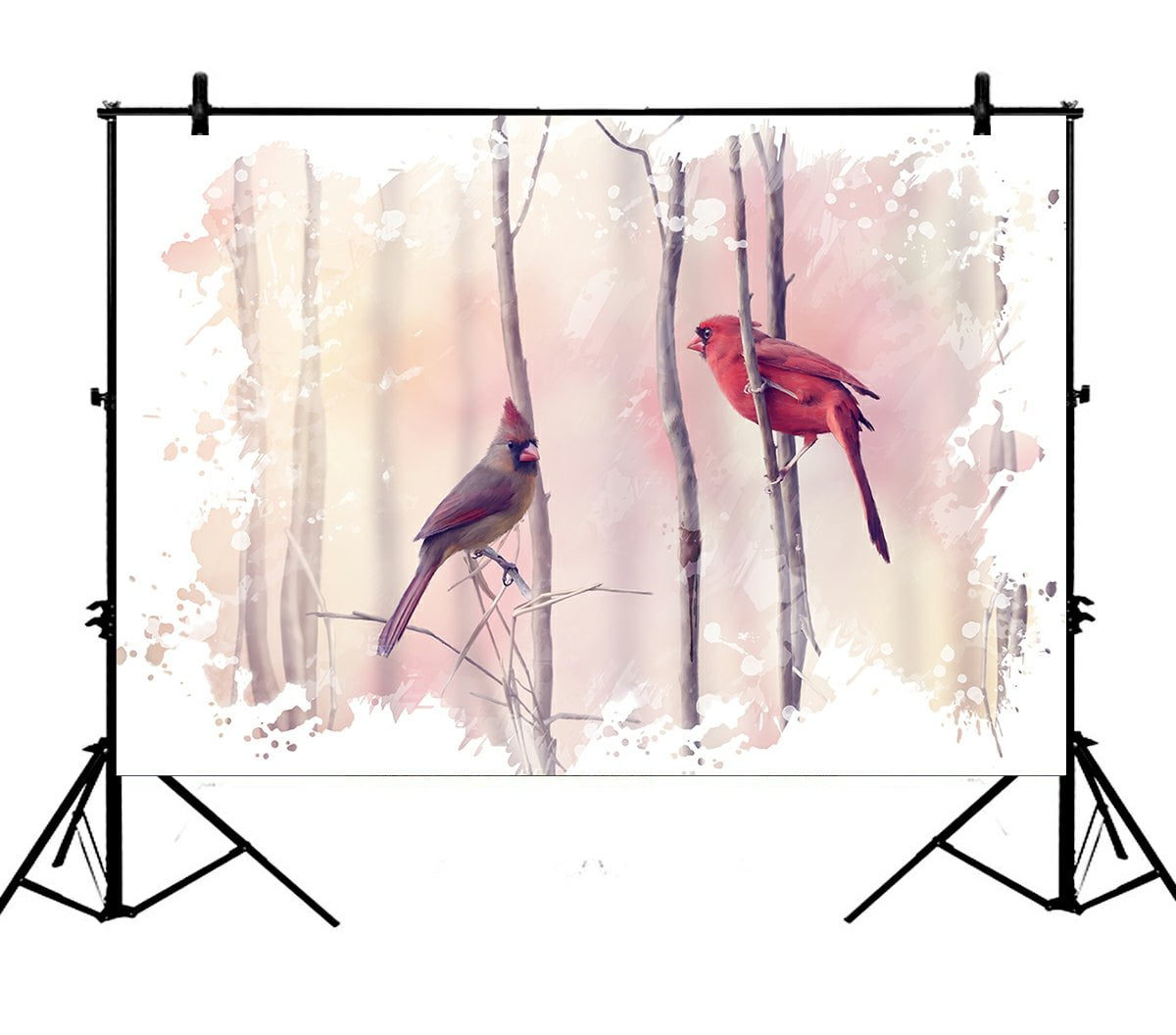 PHFZK 7x5ft Bird Animal Backdrops, Painting of Northern Cardinals ...
