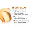 L'Oreal Paris Age Perfect Hydra Nutrition Night Balm, 1.7 oz - Walmart.com