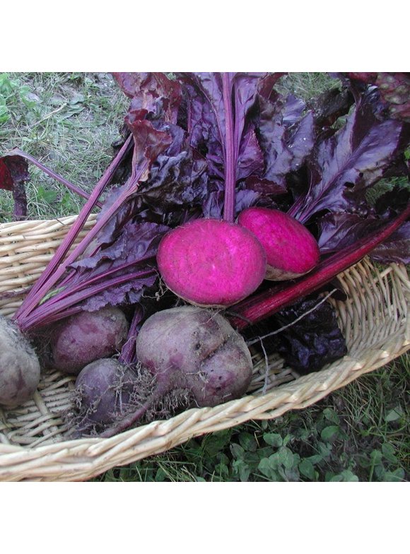 Beet Seeds in Seed Gardening - Walmart.com