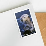 USPS Forever Postage Stamps - National Marine Sanctuaries, 1 Sheet of ...