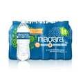 Niagara Case Packaged Bottled Purified Drinking Water, 16.9 Fl. Oz., 24 ...