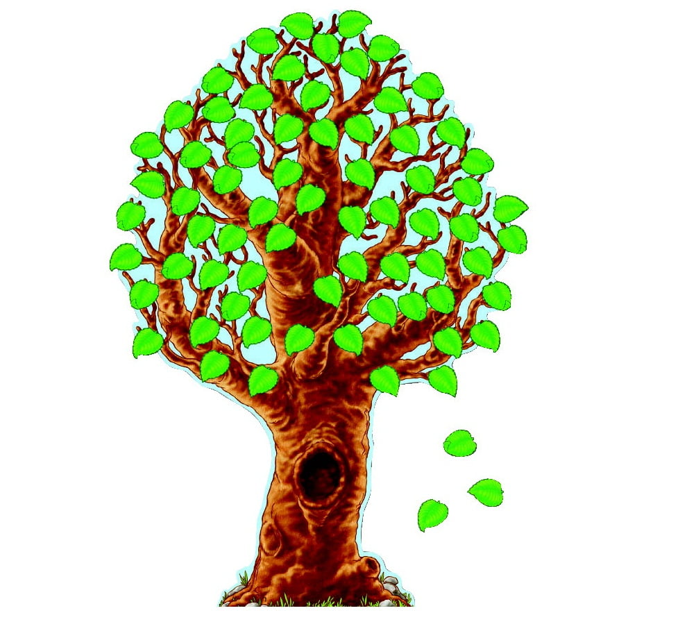 Big Realistic Tree Bulletin Board - Walmart.com