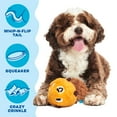 BARK Dam Daniel Beaver Plush Dog Toy, Small & Medium Dogs - Walmart.com