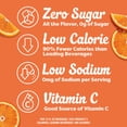 Crystal Light Classic Orange Natural Flavor Drink Mix - Low Calorie ...