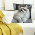 Cats Pillowcase Cover Linen Pillow Reuse for Home Bedroom Sofa ...