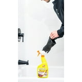 Goof Off RustAid 22 oz. Spray Bottle - Bathroom Rust Stain Remover ...