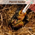 Baby Bird Feeding Kit 6PCS/Set 20ML Baby Birds Feeding Syringe with ...