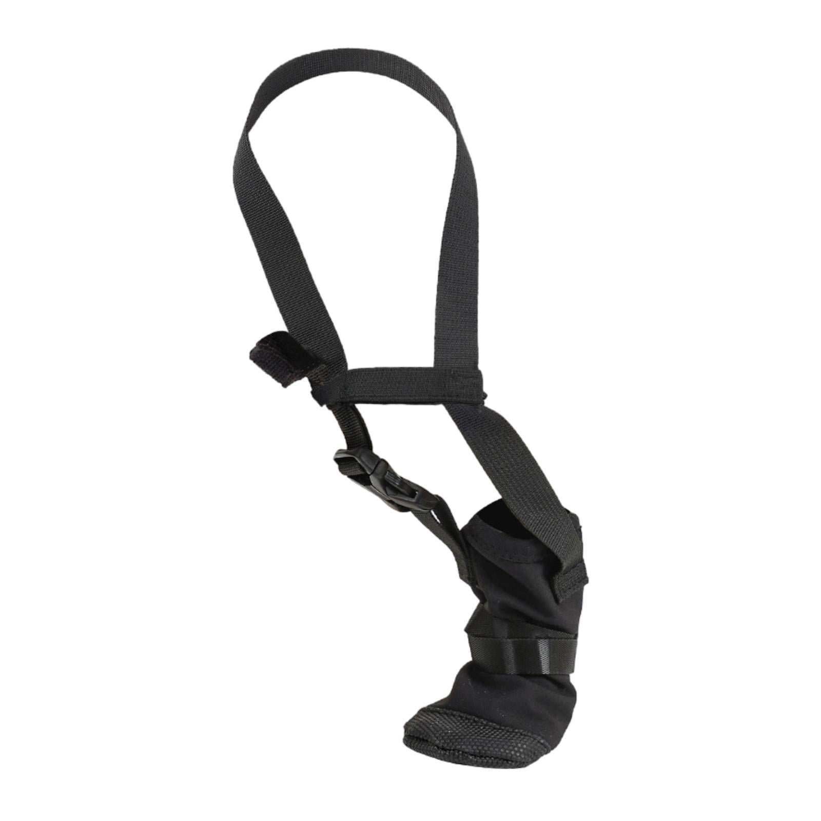 Protector de patas de perro, calzado para perros, pavimento frío y ...