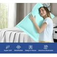600 Thread Count Egyptian Cotton 2-Piece Pillow Sham Set with Flanged ...