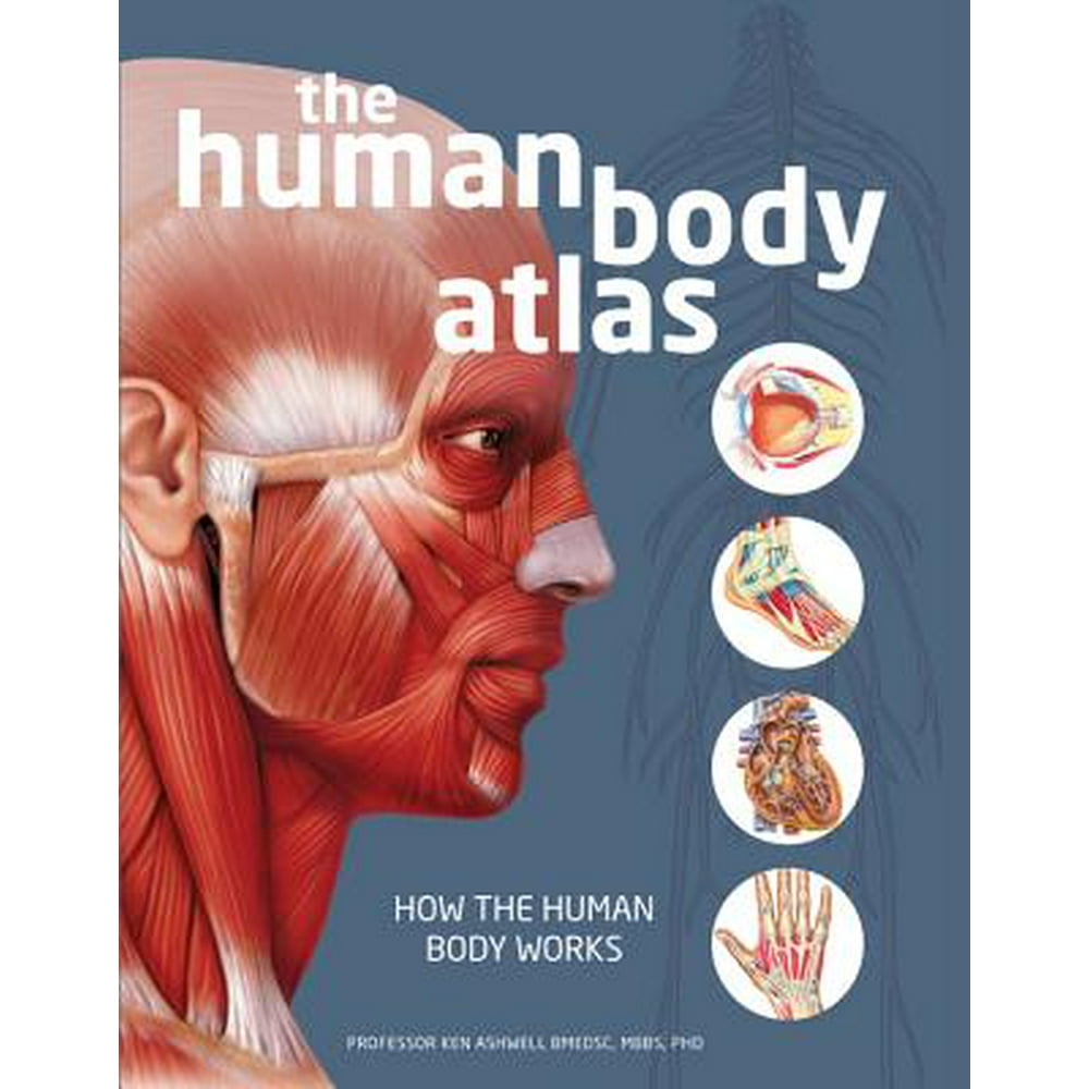 The Human Body Atlas: How the Human Body Works - Walmart.com - Walmart.com